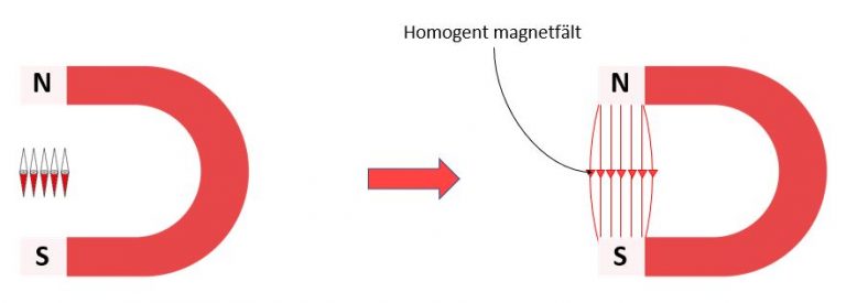 Magnetfält och permanentmagneter - (Fysik 2) - Eddler